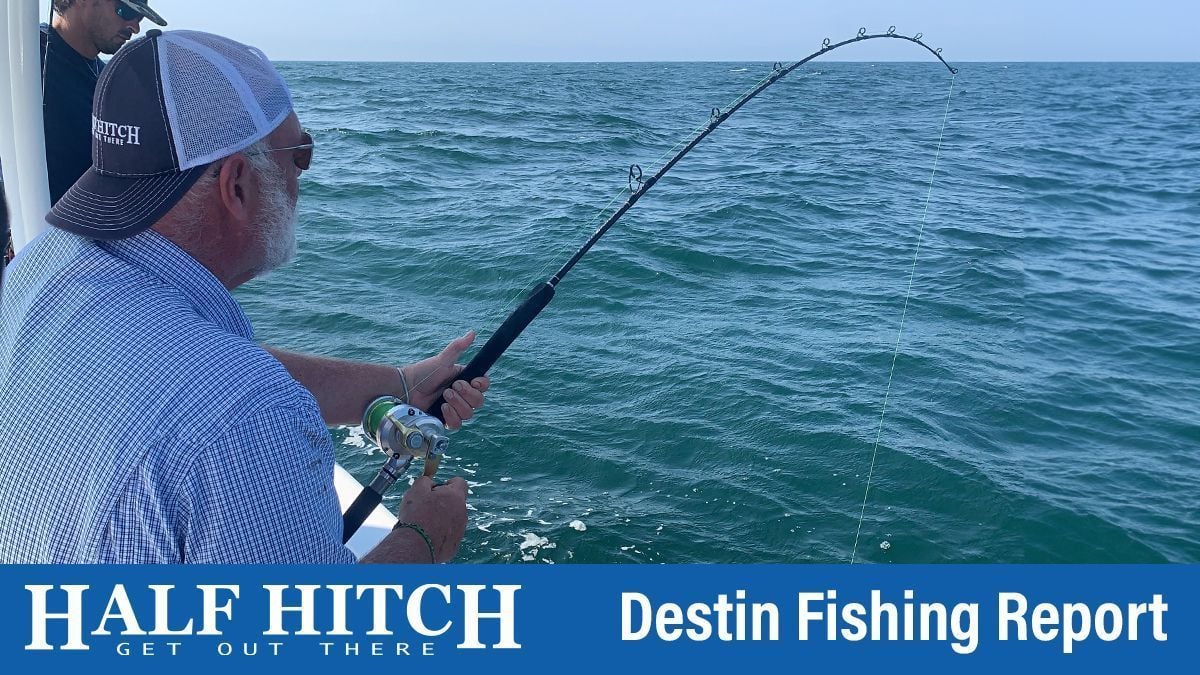 Destin Fishing Report 11-18-24