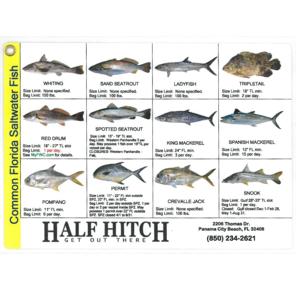 SMALL FL FISH ID CARD 5X7